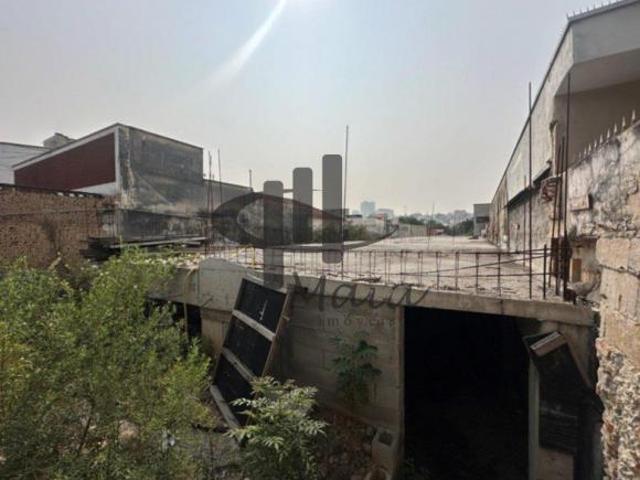 Venda Terreno Sao Caetano do Sul Nova Gerti Ref: 42105