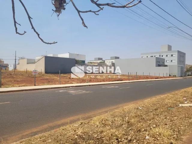 Venda Terreno VIDA NOVA
