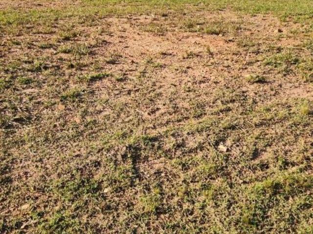 Venda Terreno 455m² Alphaville Jundiaí leve aclive Jundiaí/SP