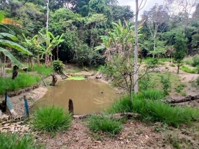 Venda, Vila Ipe Amarelo, Contagem, Minas Gerais, Brasil