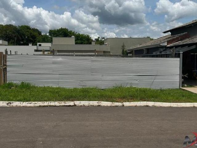 Venda Asas Douradas