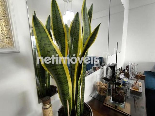 Venda Apartamento 2 quartos Ouro Preto Belo Horizonte