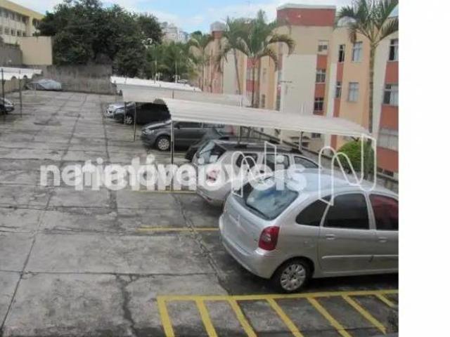 Venda Apartamento 3 quartos Alípio de Melo Belo Horizonte