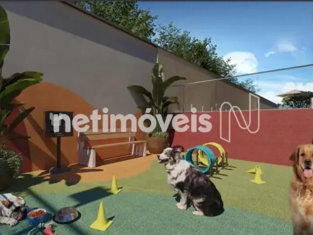 Venda Apartamento 3 quartos Santo Antônio Belo Horizonte