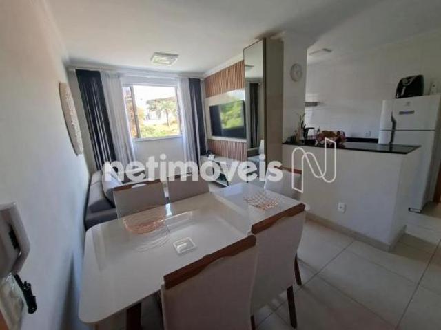 Venda Apartamento 3 quartos Palmeiras Belo Horizonte