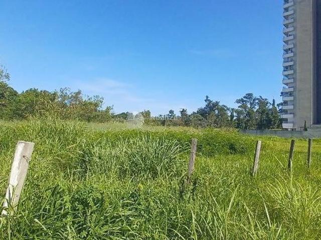 Área à venda em Taubaté, Barranco, com 1800 m²