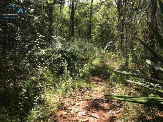 Venda, Balneario Geraldinho, Jaboticatubas, Minas Gerais, Brasil