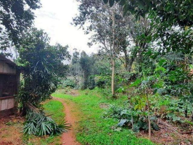 VENDA | Casa, com 2 dormitórios em Jardim Pancera, Toledo