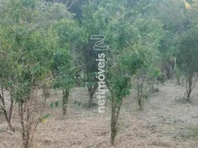 Venda Casa Inácia de Carvalho São José da Lapa