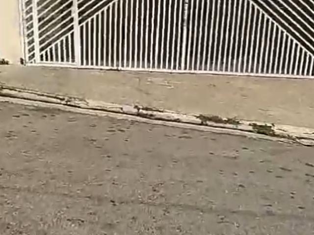 Venda Casa Jd Roberto, Osasco #15703