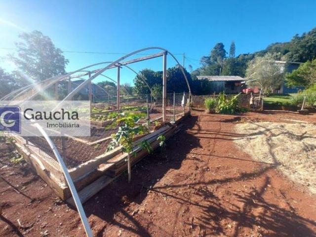 VENDA | Chácara, com 4 dormitórios em Centro, Santa Maria Do Oeste
