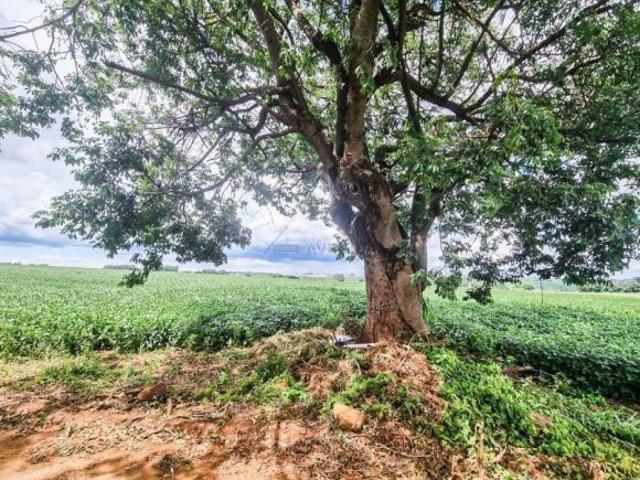 VENDA | Chácara, com 1 dormitórios em Recanto Dos Pinheiros, Cambé