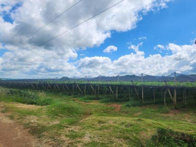 VENDA | Chácara, com 2 dormitórios em Estrada Santa Fé Km 10, Marialva