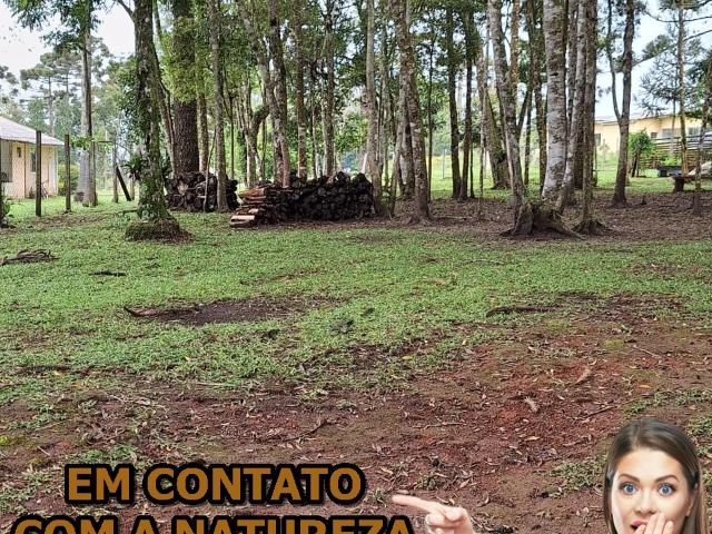 Venda Chácara Roseira, Colombo PR #7758