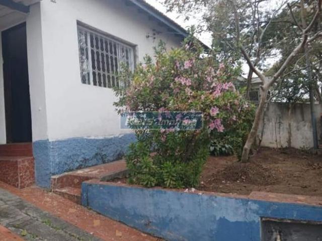 Venda, Cidade Dutra, São Paulo, São Paulo, Brasil