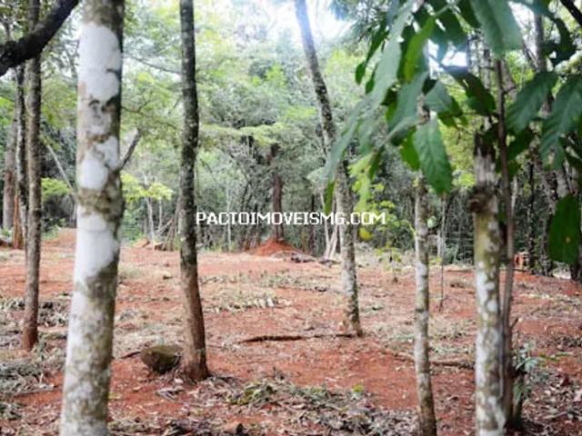 Venda Commercial / Land Lot Esmeraldas MG