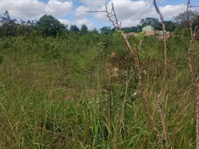 Venda Commercial / Land Lot Esmeraldas MG