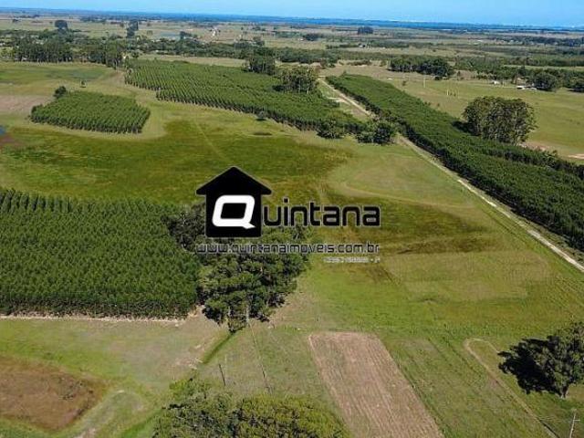 Venda de 50 hectares em Rio grande RS no Povo Novo