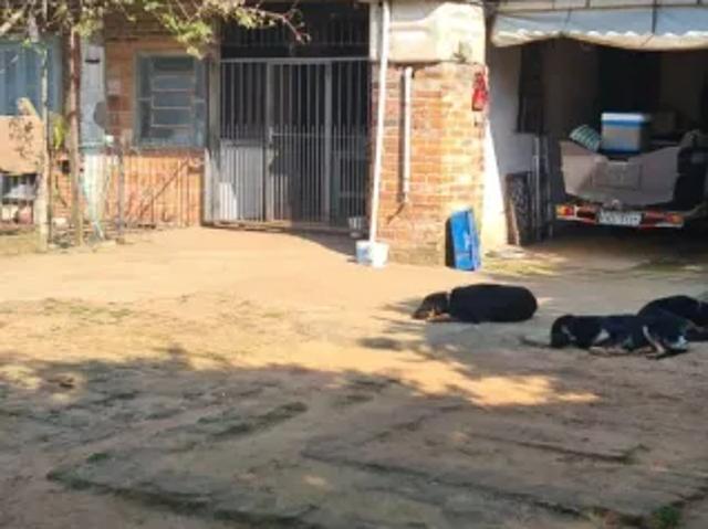 Venda de Terreno em São Leopoldo RS, bairro Pinheiro