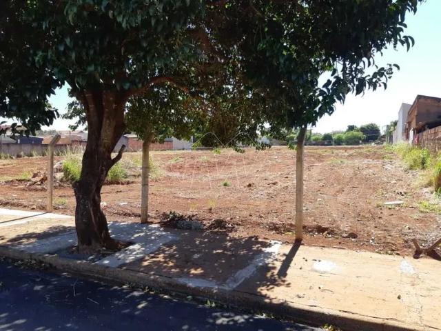 Venda de Terreno / Padrão na cidade de Araraquara