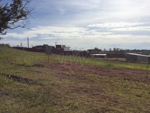 Venda de Terreno / Padrão na cidade de Araraquara