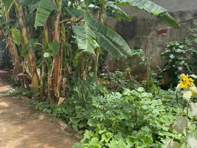 Venda de um terreno 10 x 25 no Bairro Nossa Senhora das Graças. No terreno tem construído uma casa p