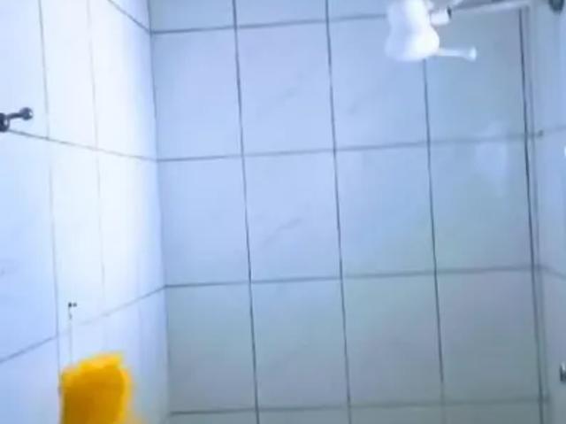 Venda de Apartamentos / Padrão na cidade de São Paulo