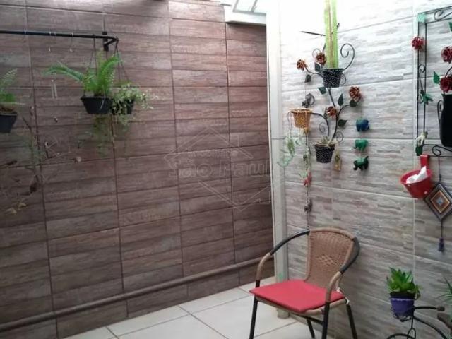 Venda de Casas / Padrão na cidade de Araraquara