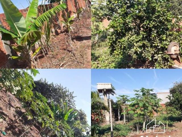 Venda de Chácara com 2.266,00 m2 em Santa Fé PR: Sobrado + Casa com 236,87 m² de área!