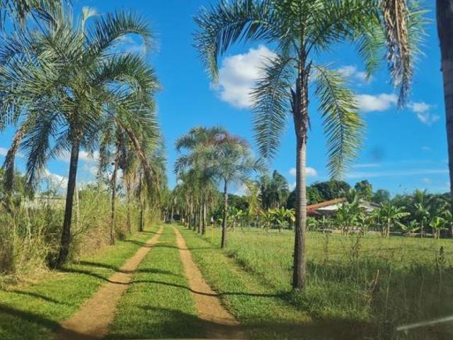 VENDA DE CHACARA
