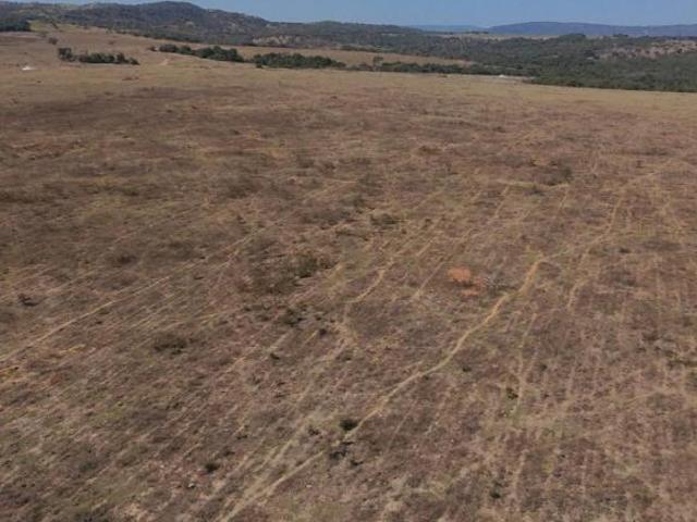 Venda de Fazenda de Alto Padrão em Piracanjuba GO, Bairro Zona Rural: Infraestrutura completa e loca