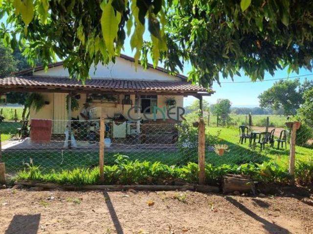 Venda de Fazenda de 732 Hectares em Pirapora, MG Lavoura Irrigada e Pecuária, Alta Produtividade