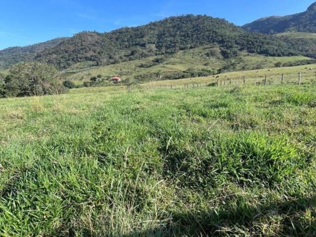 VENDA DE FAZENDA PARA PLANTIO DE GRÃOS, UVA, AVOCADO, CAFÉ OU GADO
