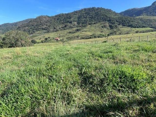 VENDA DE FAZENDA PARA PLANTIO DE GRÃOS, UVA, AVOCADO, CAFÉ OU GADO