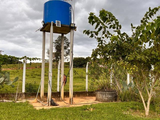 VENDA DE FAZENDA PARA PLANTIO DE GRÃOS, UVA, AVOCADO, CAFÉ OU GADO