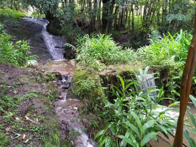 Venda de Sítio bem localizado na Barra, Cunha SP, com 3,00 alqueires de área