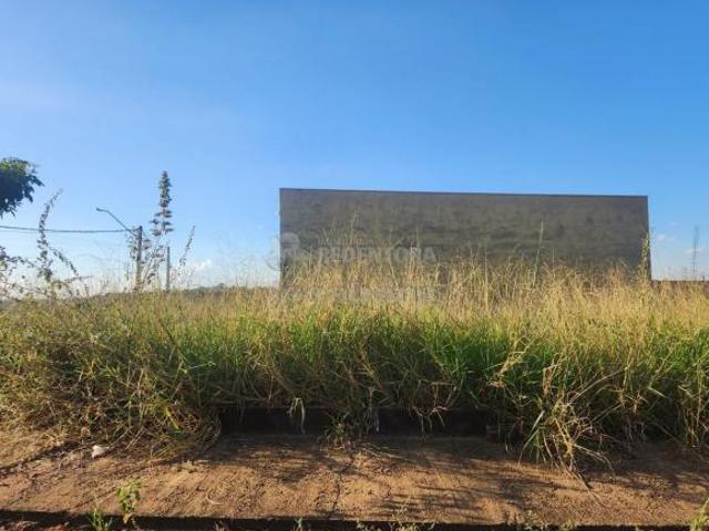 Venda e Empreendimento de Terreno Parque Vila Nobre