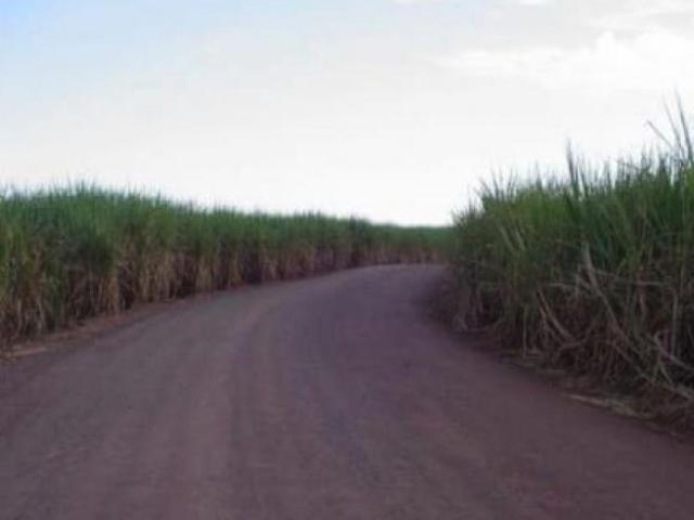 VENDA | Fazenda, em Mandaguaçu
