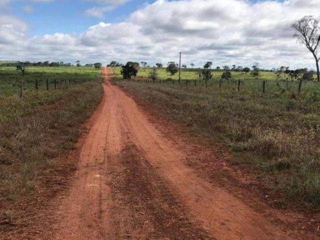 VENDA | Fazenda, em Nao Informado, Tesouro