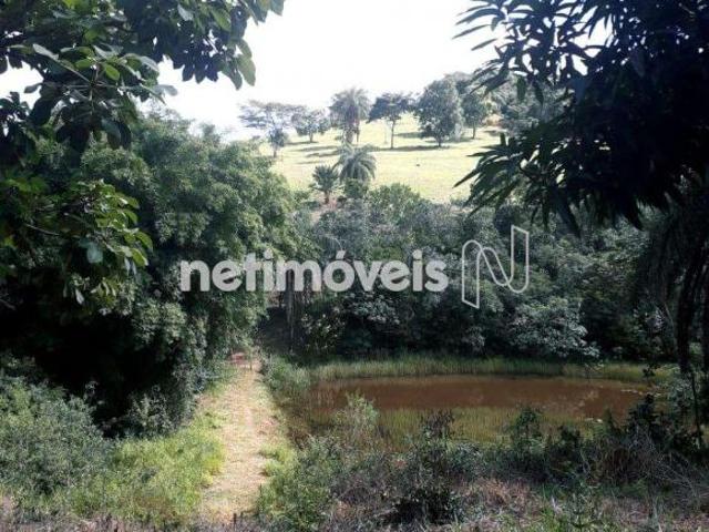Venda Fazenda Fazenda Paciência Catas Altas