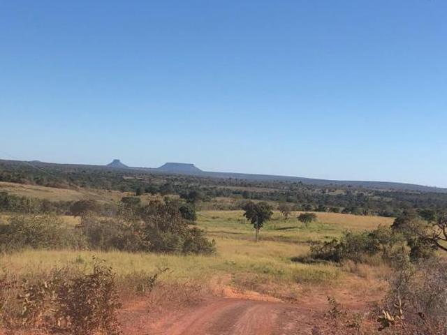 Venda Fazenda para Pecuária 370 Alqueires 📍  Pontal do Araguaia Mato Grosso