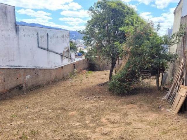 VENDA, LOTE, NOVO AMAZONAS