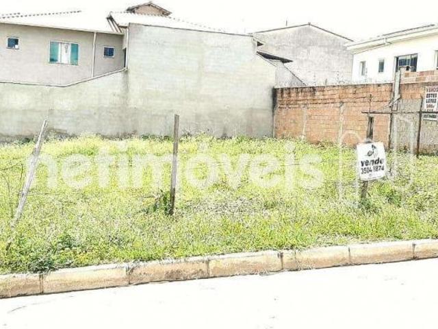 Venda Lote Área Terreno Trevo Belo Horizonte