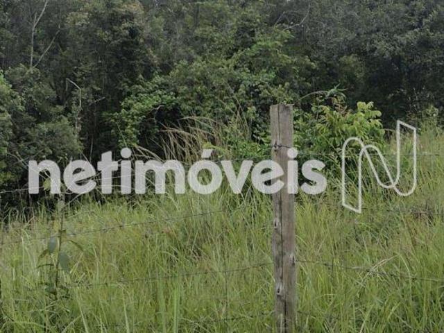 Venda Lote Área Terreno Área Rural Ribeirão das Neves