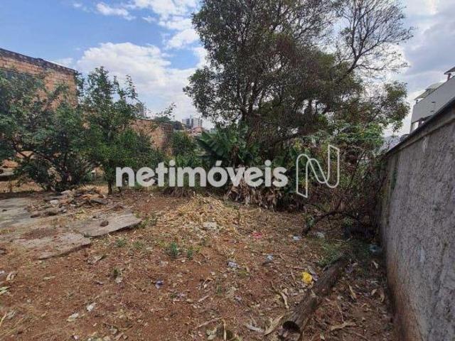 Venda Lote Área Terreno Cinquentenário Belo Horizonte