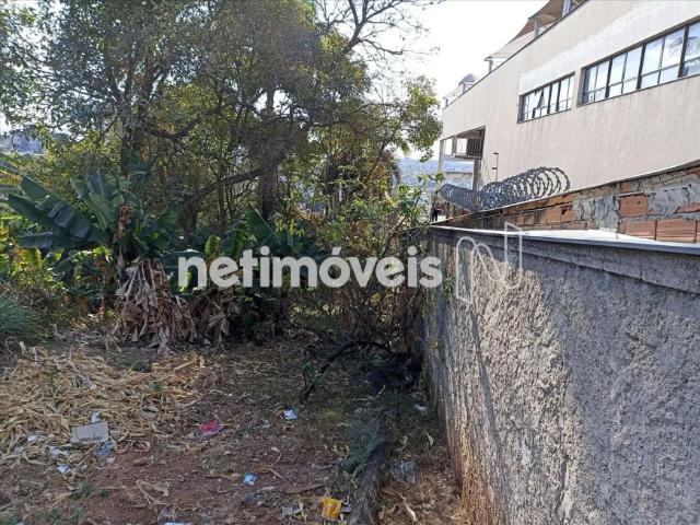 Venda Lote Área Terreno Cinquentenário Belo Horizonte