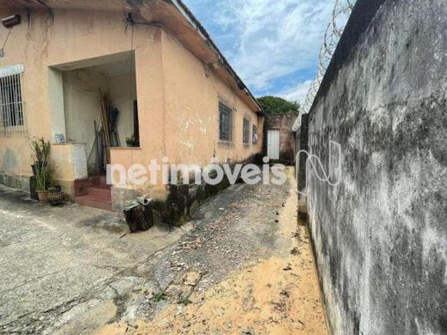 Venda Lote Área Terreno Concórdia Belo Horizonte
