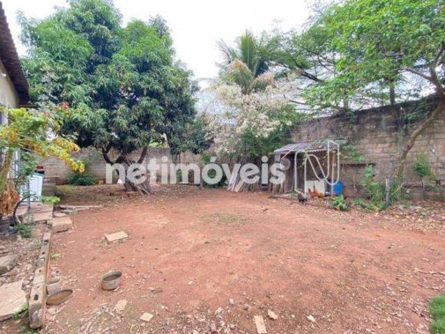 Venda Lote Área Terreno Dona Clara Belo Horizonte