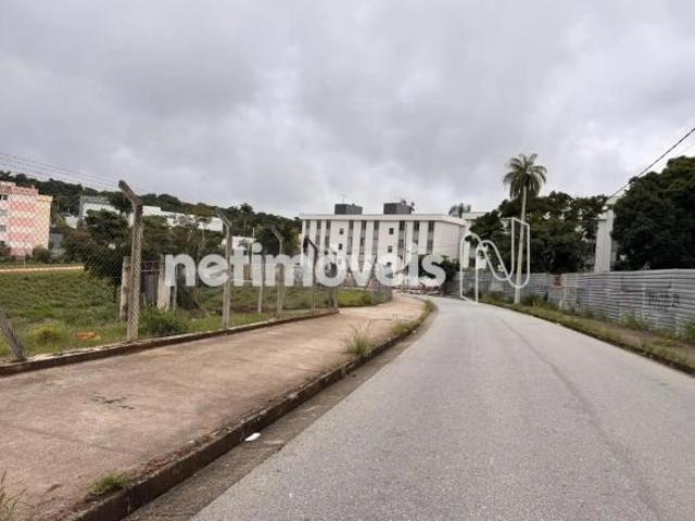 Venda Lote Área Terreno Indaiá Belo Horizonte