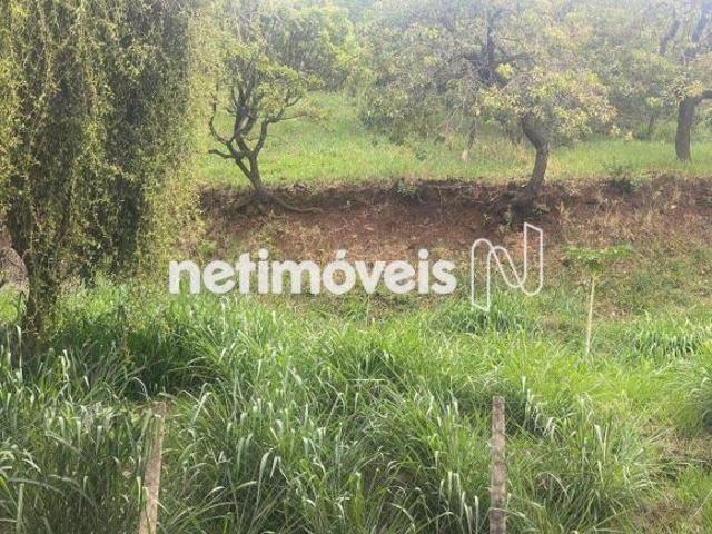 Venda Lote Área Terreno Mangabeiras Belo Horizonte
